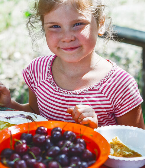 SDG 2 | Geen honger: Geen honger - Sustainable Goals